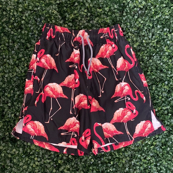 Swim | Flamingo Print Swim Trunks | Poshmark